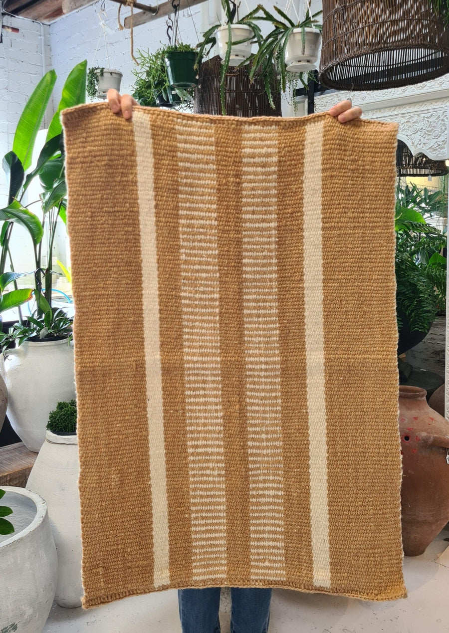 Rugs – The Andes Project