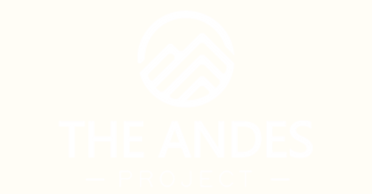 Handmade Cushions & Homewares - Sustainable - From Argentina to You ...